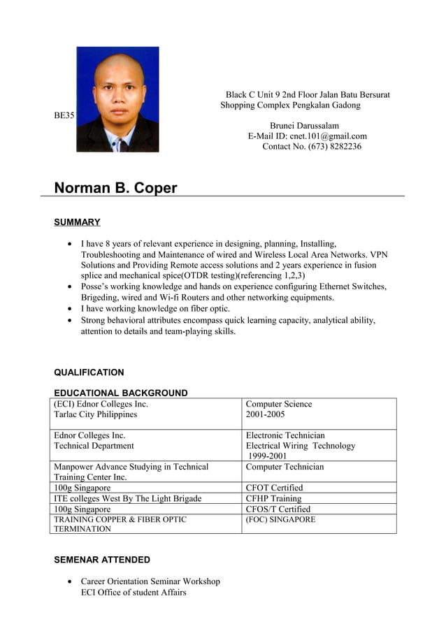CV Norman | PDF