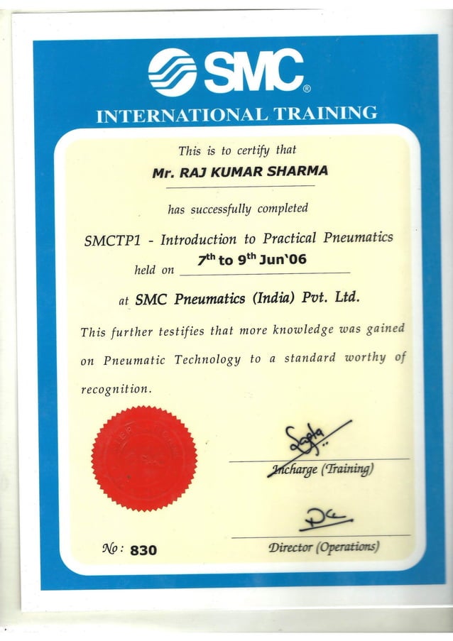 Professional Training Certificate | PDF