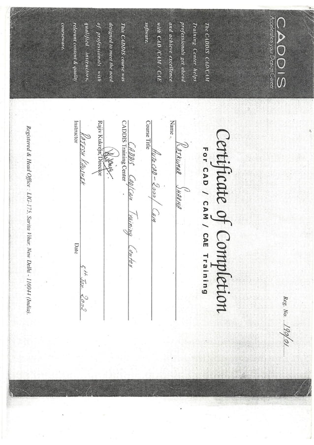 Professional Training Certificate | PDF