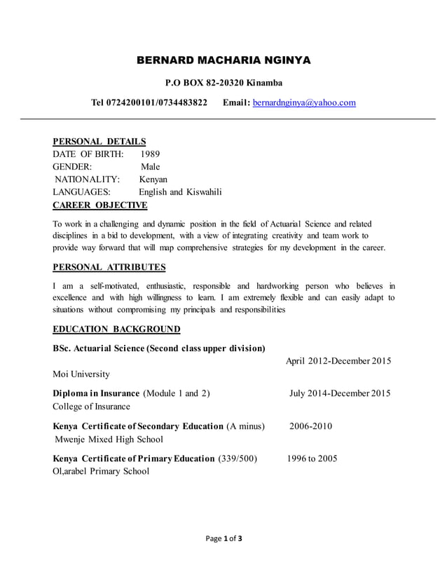 UPDATED CV (2) | PDF