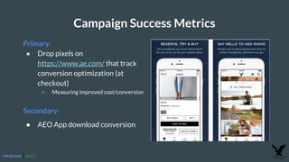 Programmatic Campaign Plan | PPT