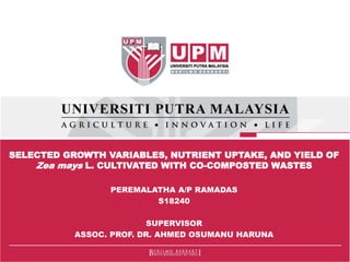 Final Presentation1 | PPTX