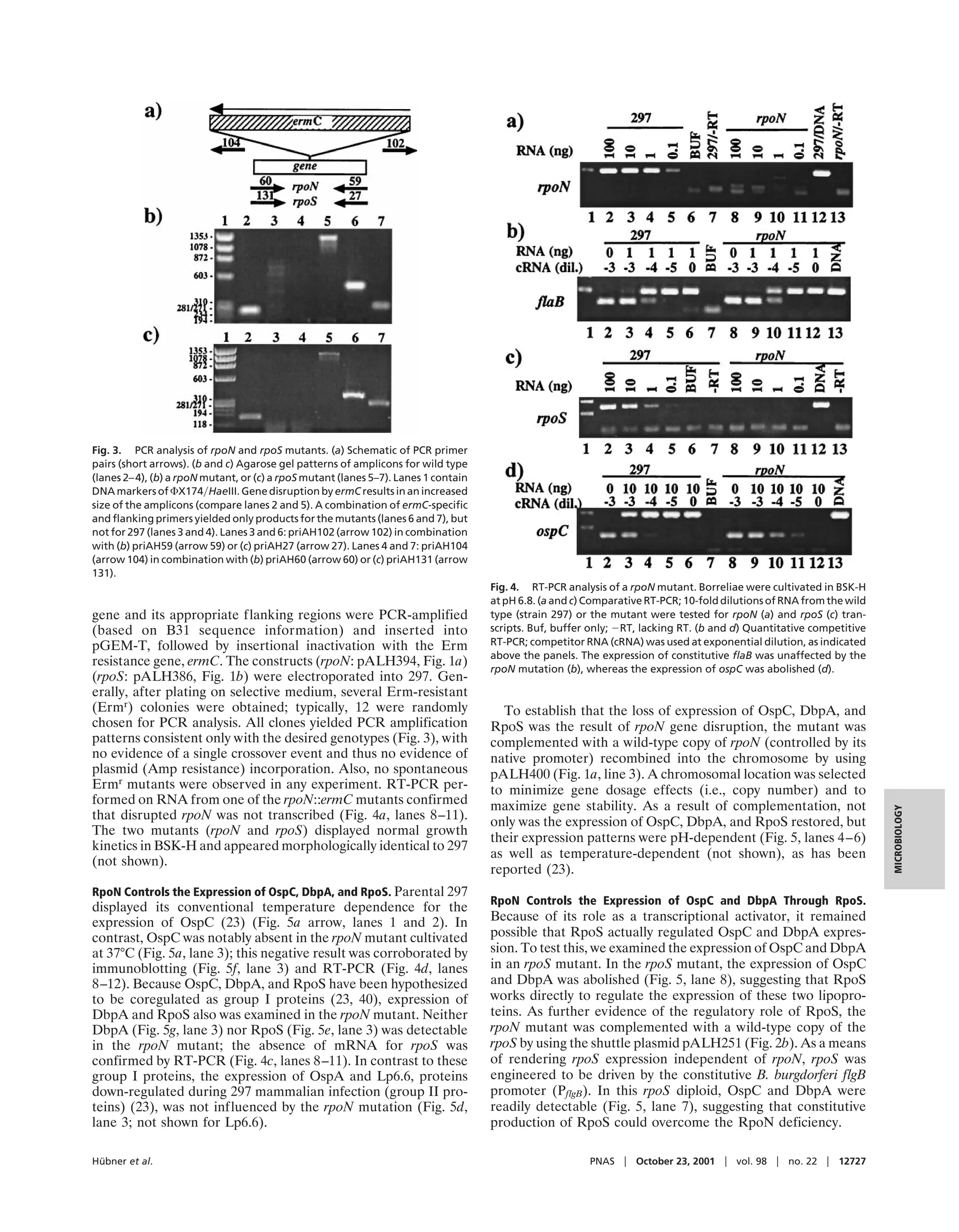 OspC PNAS | PDF | Biological Sciences | Science