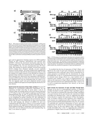 OspC PNAS | PDF | Biological Sciences | Science