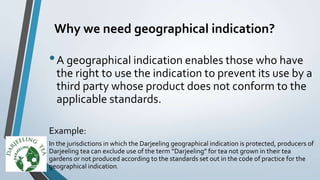 Geographical Indication | PPTX