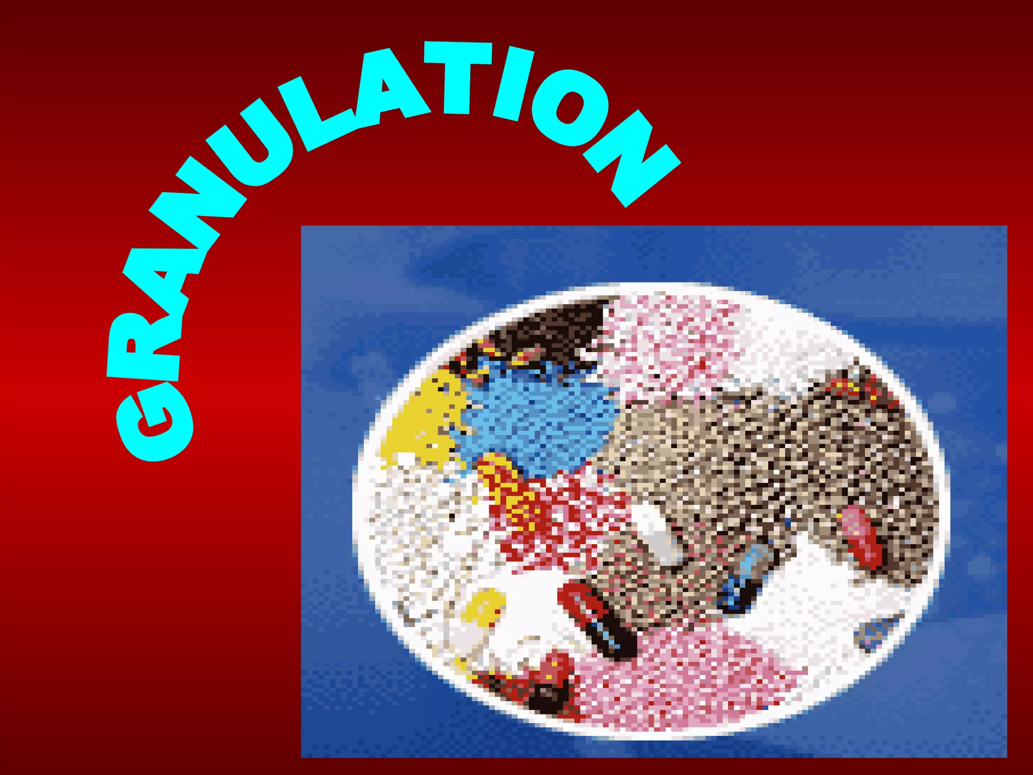 Granulation | PPT
