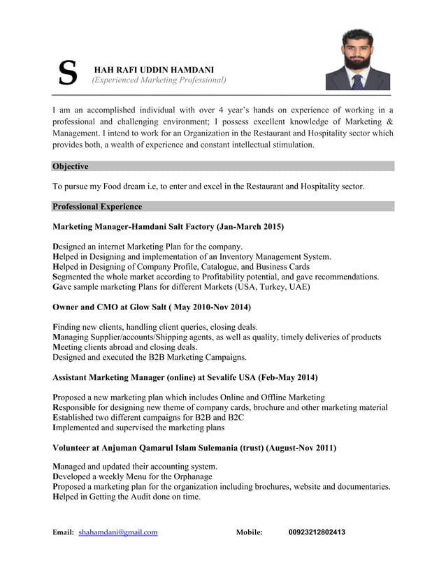Rafi Hamdani CV | PDF