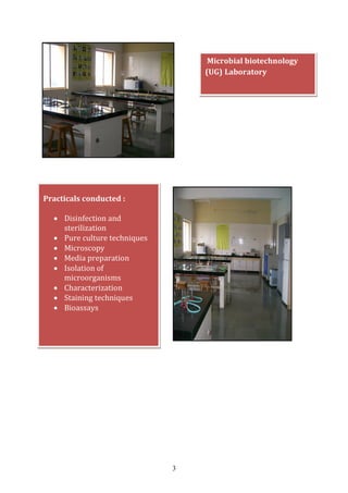 Dept Of Biotechnology India | PDF