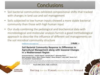 ENEA: Why is soil biodiversity so important in keeping soil healthy? A ...