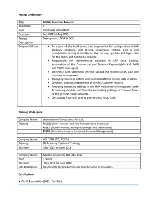 SAP CV NEW | DOCX