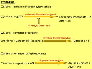 UREA CYCLE | PDF