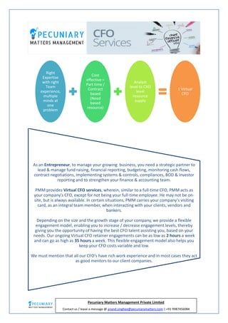 PMM's Virtual CFO Services | PDF