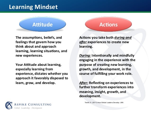 What is Learning Mindset?