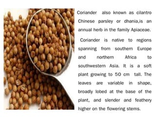 Coriander | PPTX