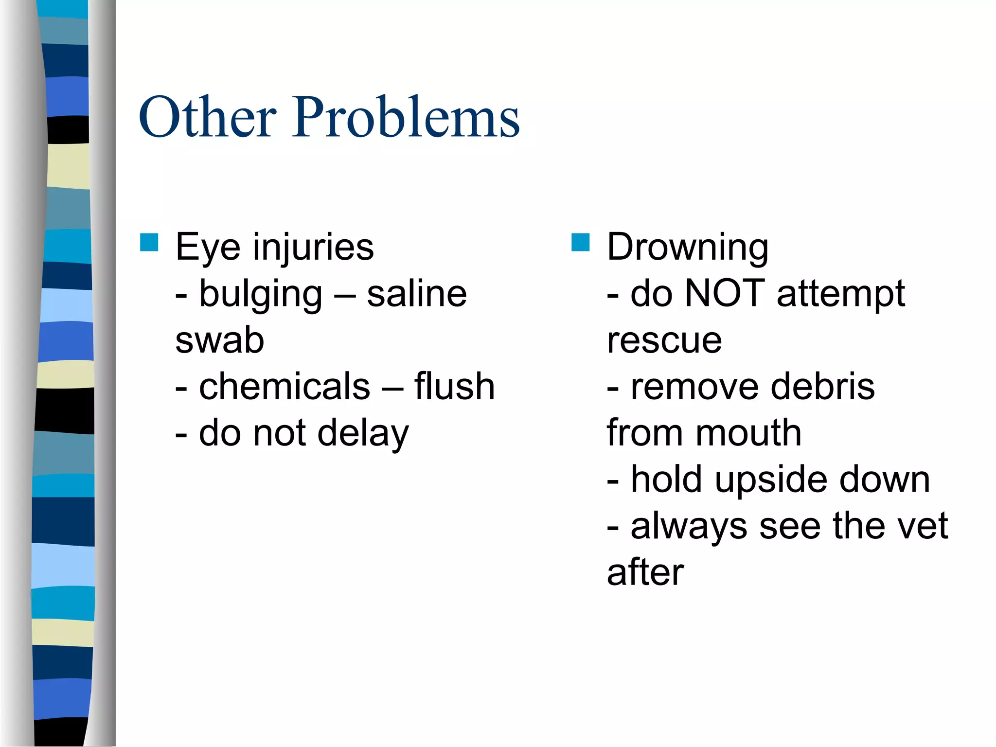 First Aid for Pets | PPT