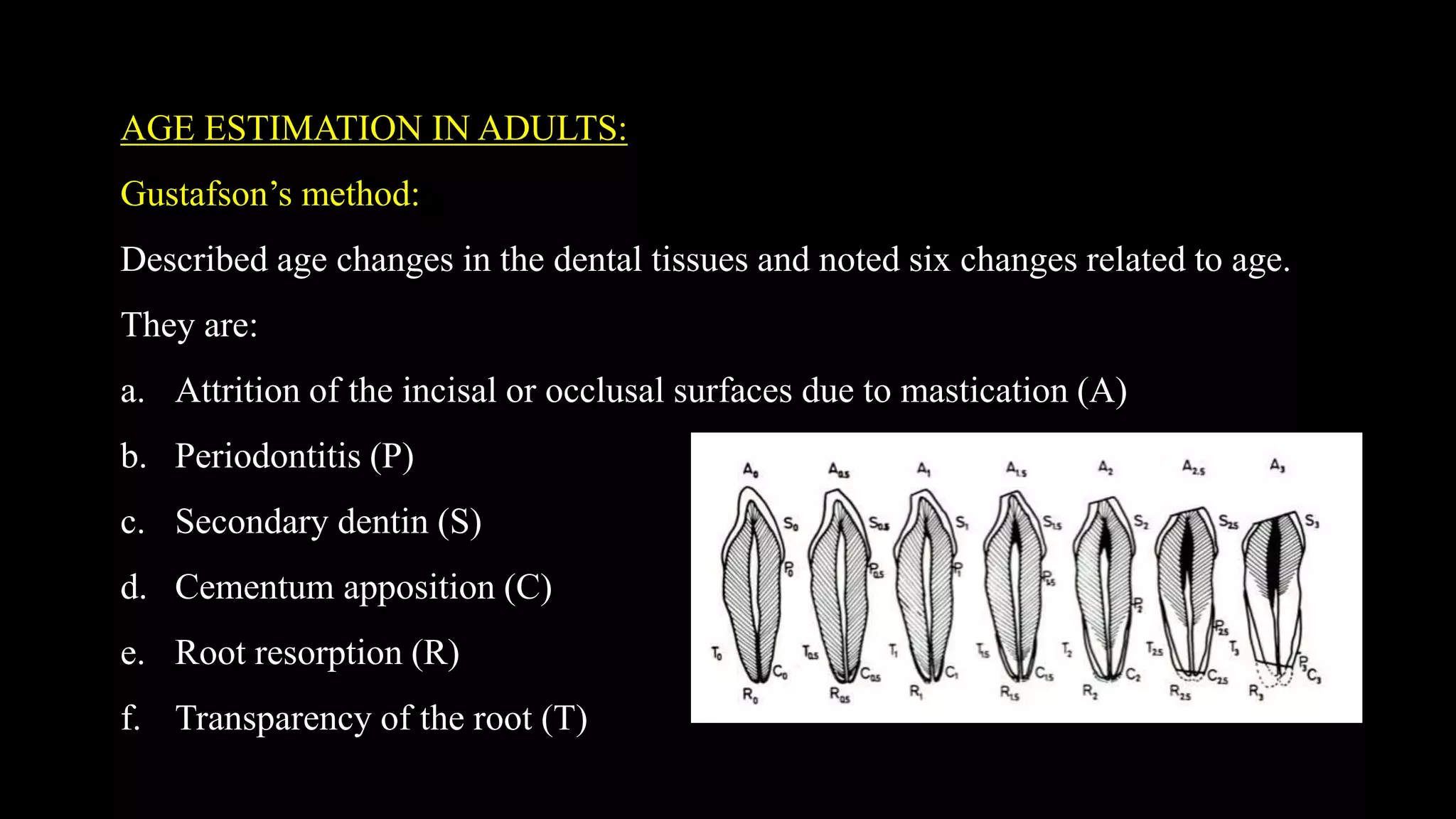 Age Estimation In Forensics Pptx