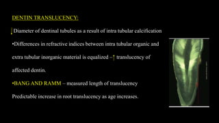 AGE ESTIMATION IN FORENSICS | PPTX
