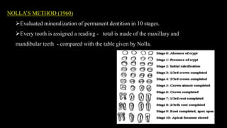 AGE ESTIMATION IN FORENSICS | PPTX