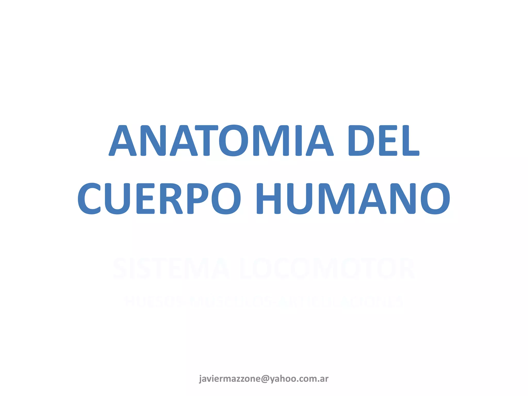 Anatomia Del Cuerpo Humano Pdf