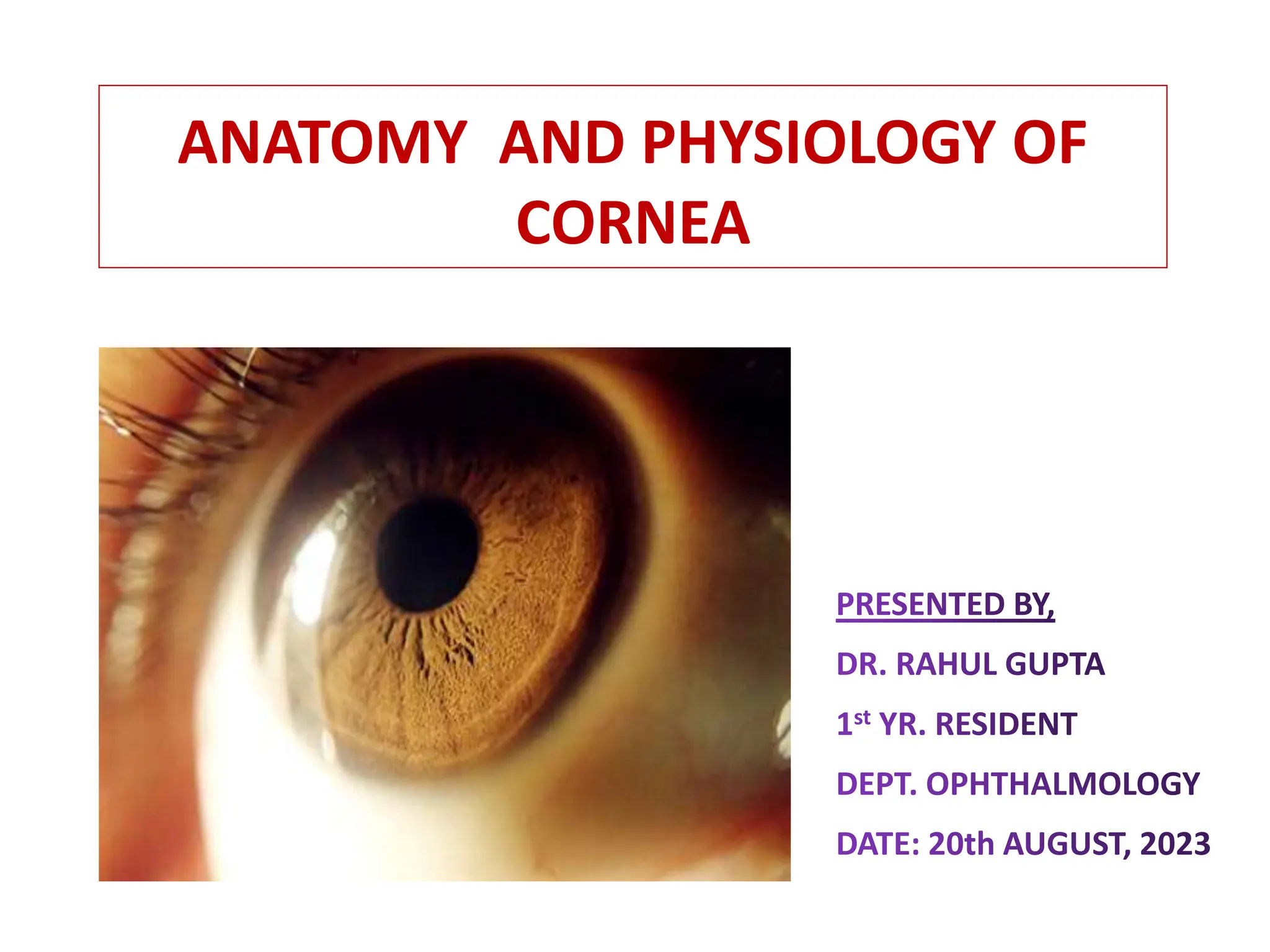 Ophthalmology anatomy of cornea Final.ppt