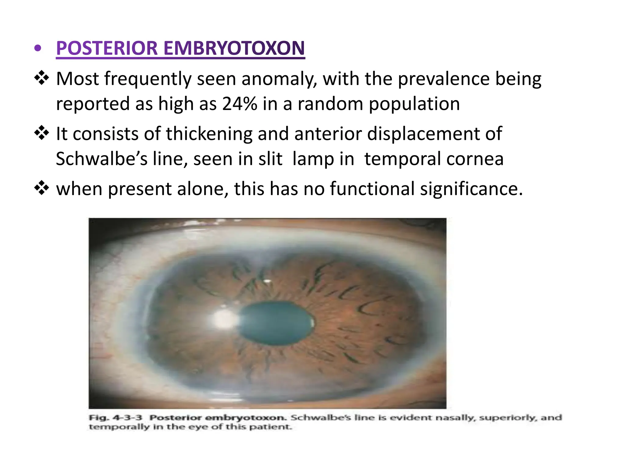 Ophthalmology anatomy of cornea Final.ppt