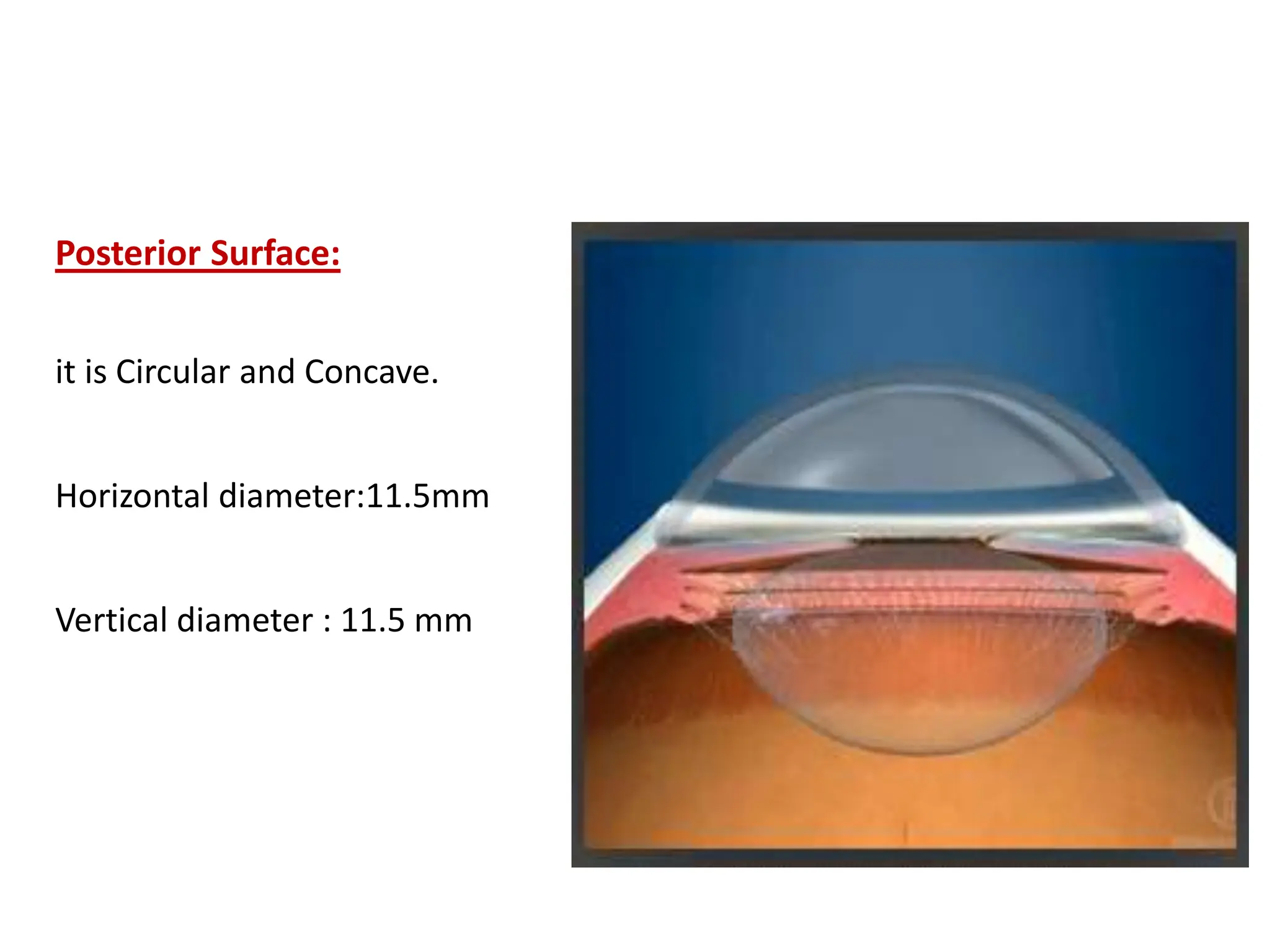 Ophthalmology anatomy of cornea Final.ppt