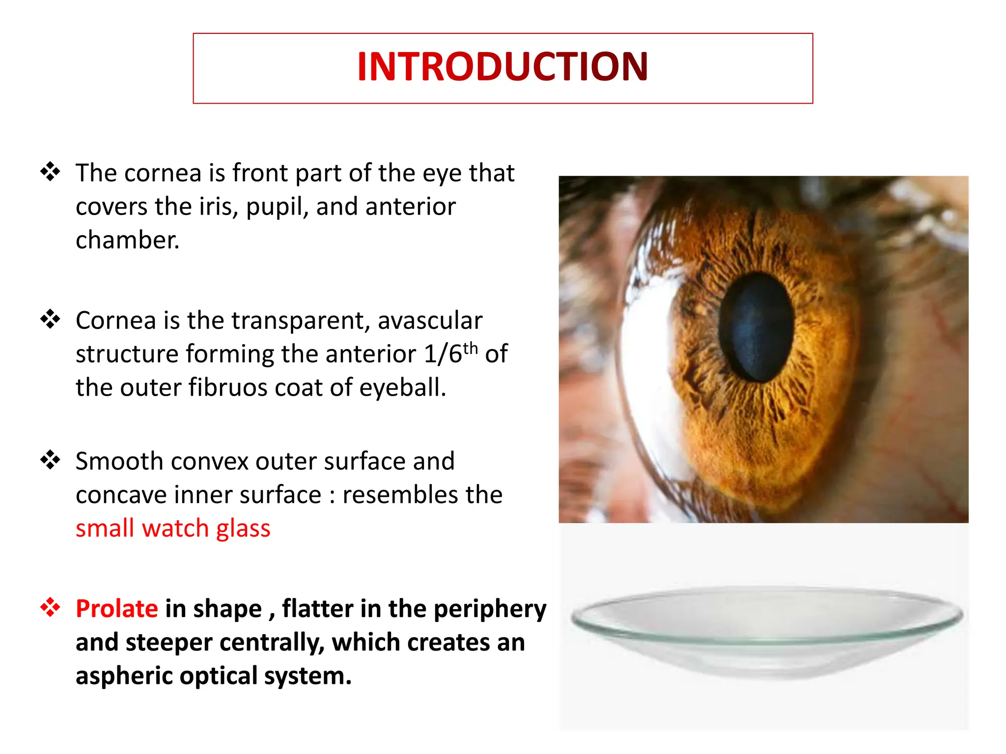 Ophthalmology anatomy of cornea Final.ppt