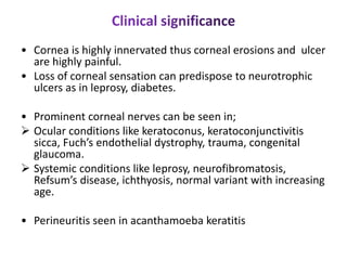 Ophthalmology anatomy of cornea Final.ppt