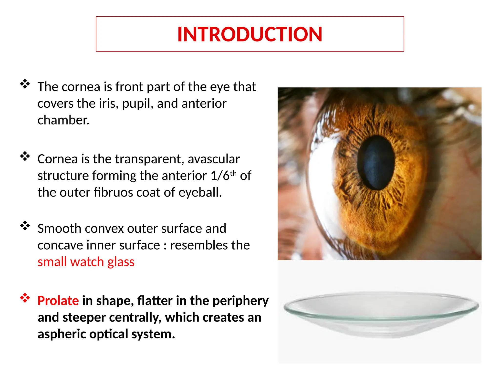 7 anatomy of cornea Final of ophthalmology.ppt