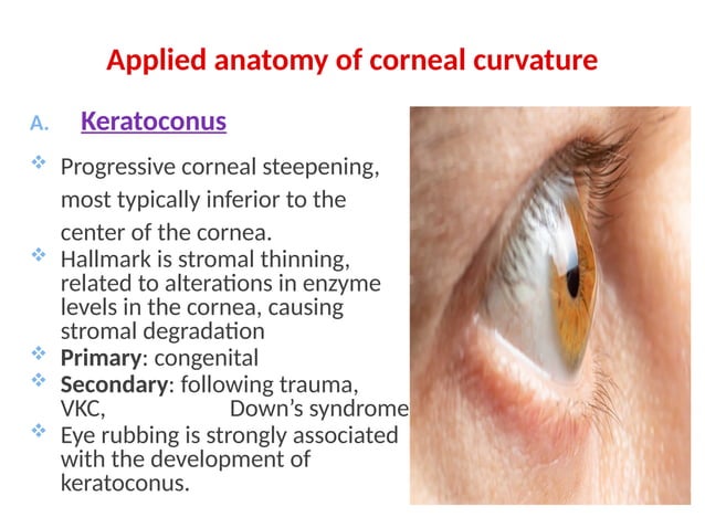 7 anatomy of cornea Final of ophthalmology.ppt