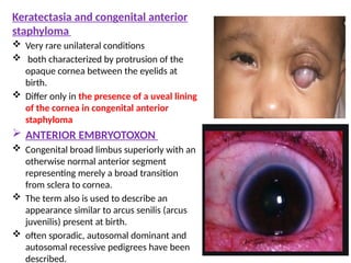 7 anatomy of cornea Final of ophthalmology.ppt