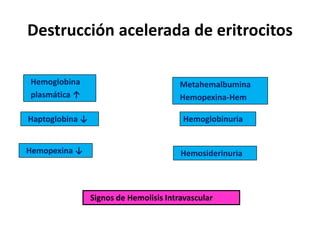 7 Anemia hemolítica | PPSX