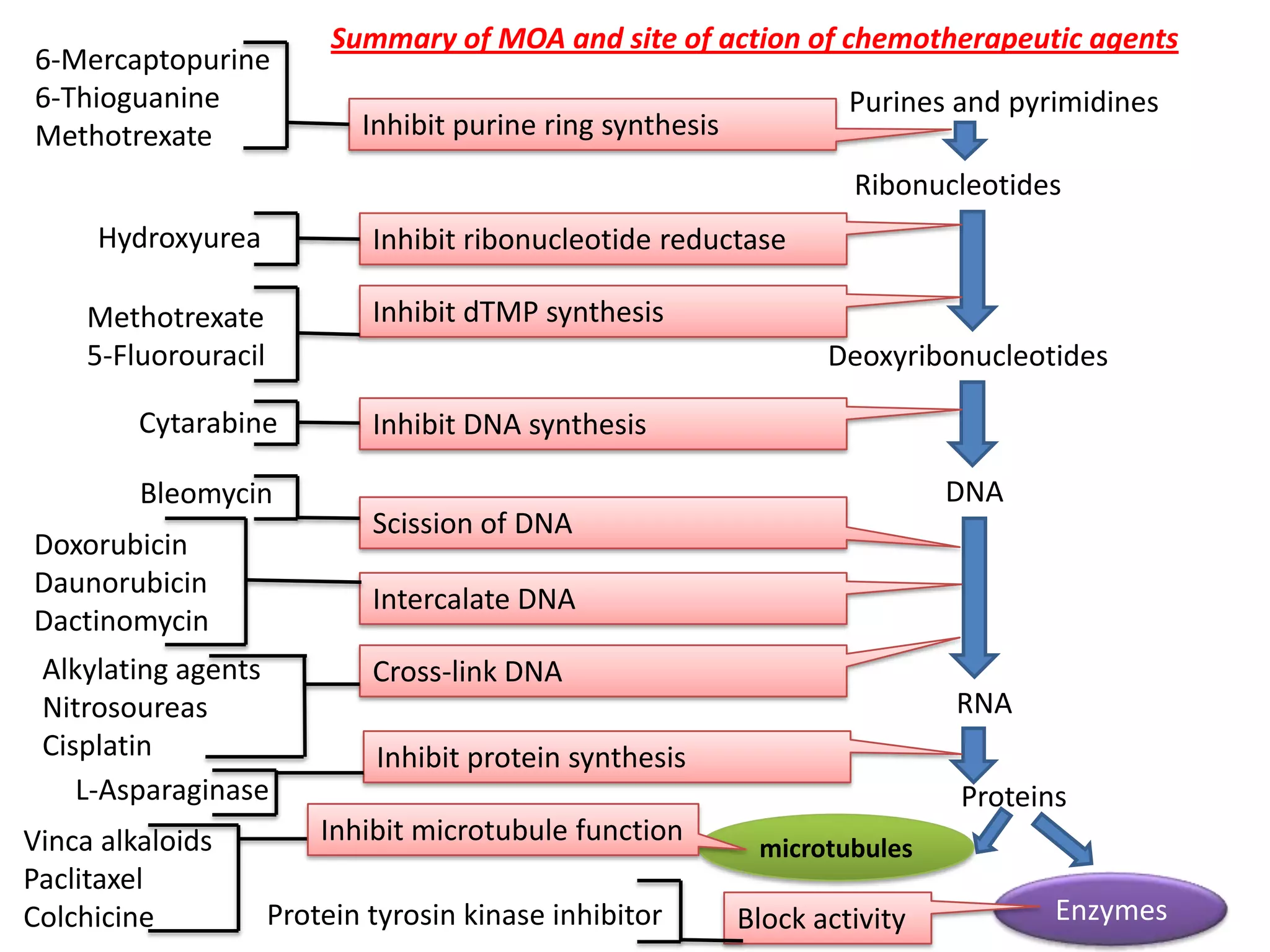 Anticancer drugs 1 introduction and classification | PPTX