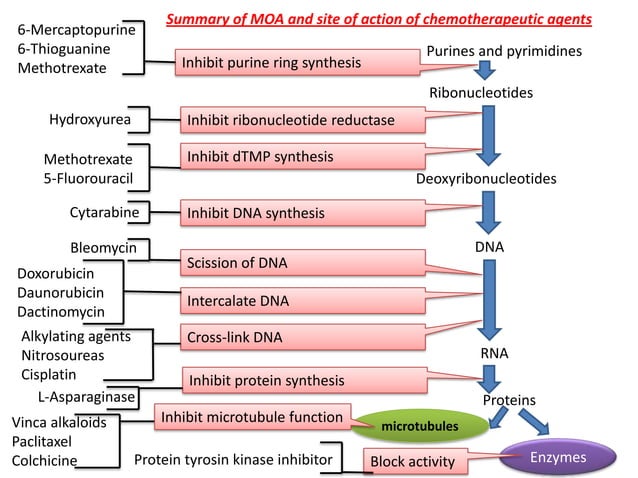 Anticancer drugs 1 introduction and classification | PPTX