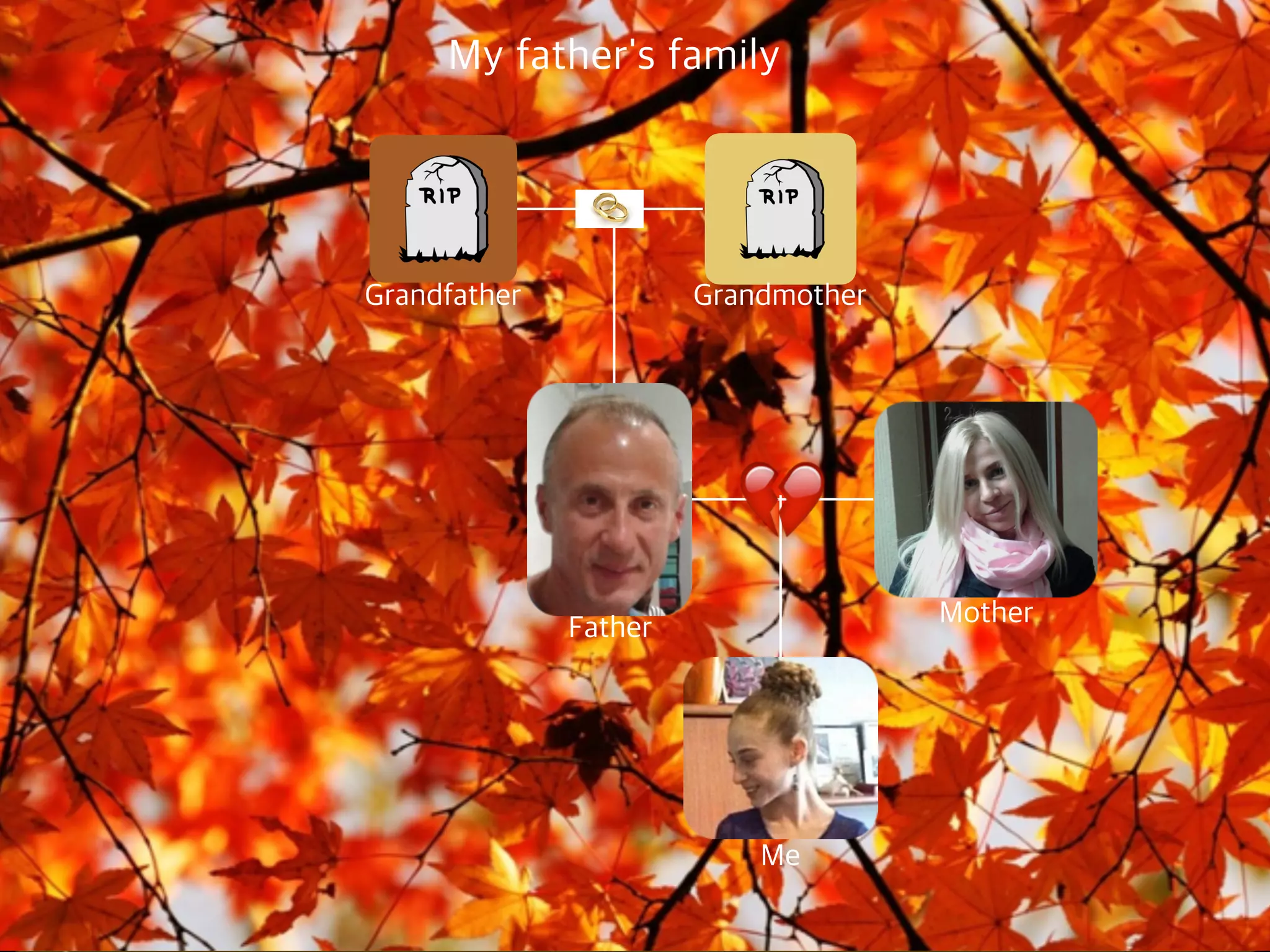 Aly's family tree | PDF