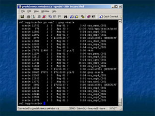 Introduction to oracle | PPT
