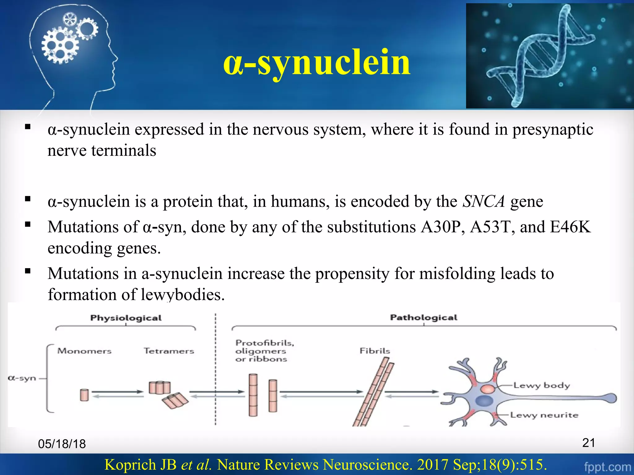 screening model for parkinsons disease | PPT