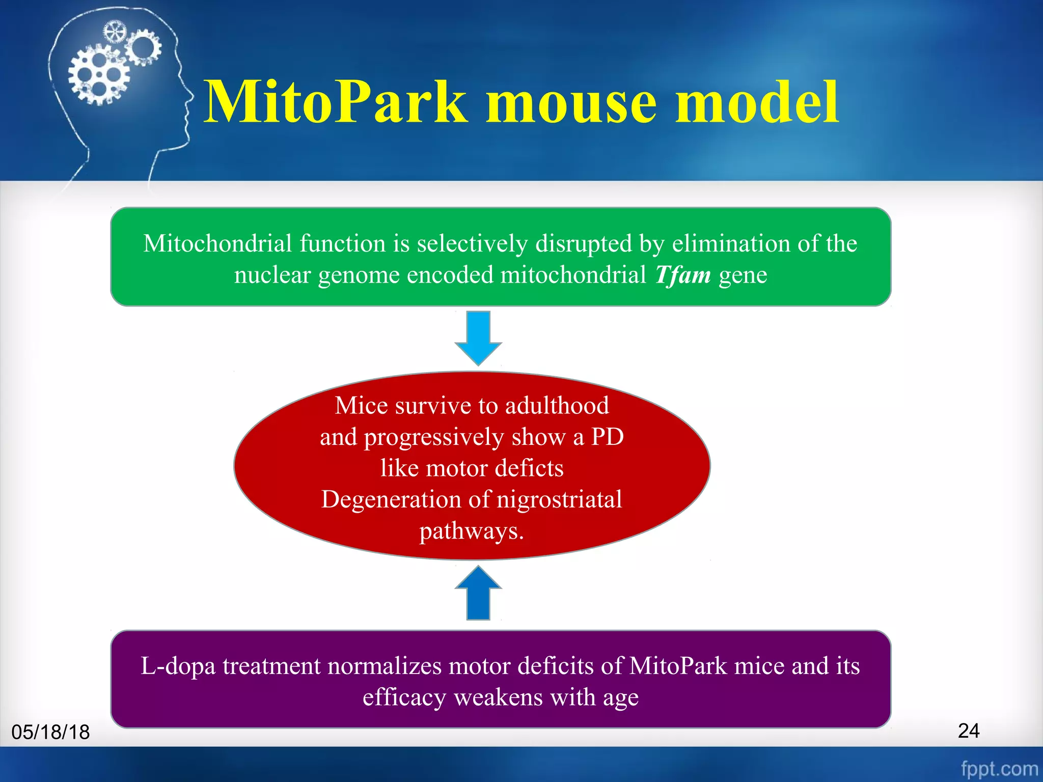 screening model for parkinsons disease | PPT