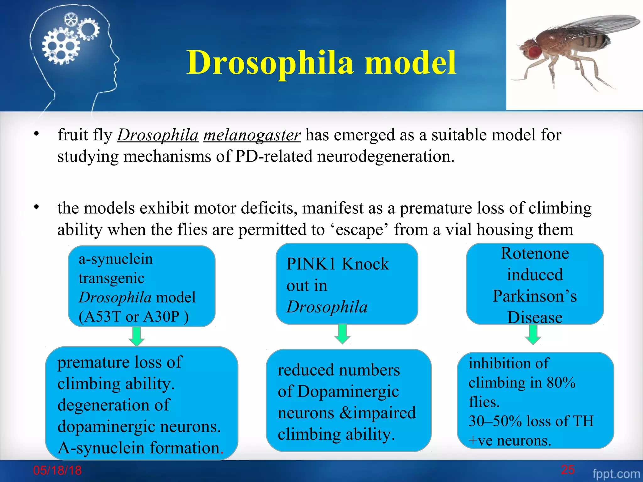 screening model for parkinsons disease | PPT