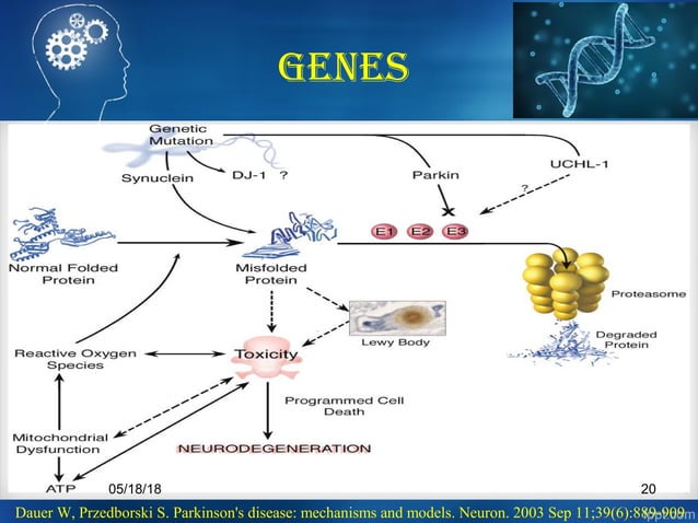 screening model for parkinsons disease | PPT | Brain and Nervous System ...