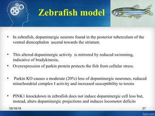 screening model for parkinsons disease | PPT