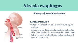 7 Asuhan Kebidanan dengan kelainan bawaan pada Bayi.pdf