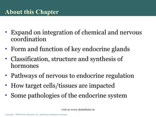 The endocrine system | PPT