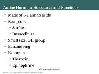 The endocrine system | PPT