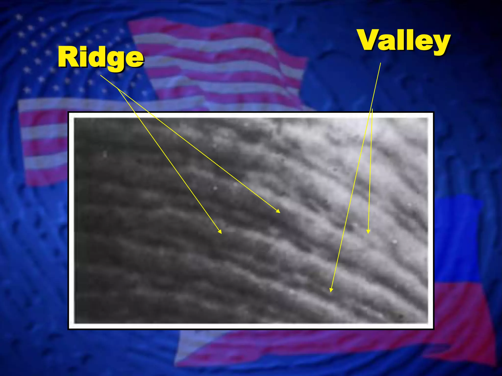 Taking Legible Fingerprints | PPTX