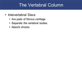 vertebral column or back bone, vertebrae, cervical, thoracic, lumbar ...