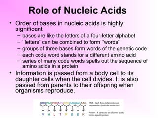 7b. The Chemical Basis for Life---ORGANIC COMPOUNDS.ppt
