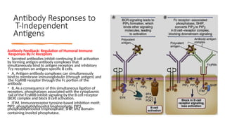 7 B-cell activation immunity adaptive pptx | PPT