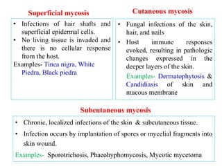 Coccidioidomycosis and Paracoccidioidomycosis | PDF