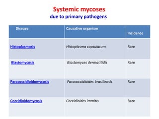 Coccidioidomycosis and Paracoccidioidomycosis | PDF